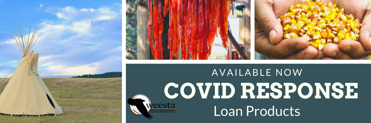 Oweesta – National Native CDFI Intermediary